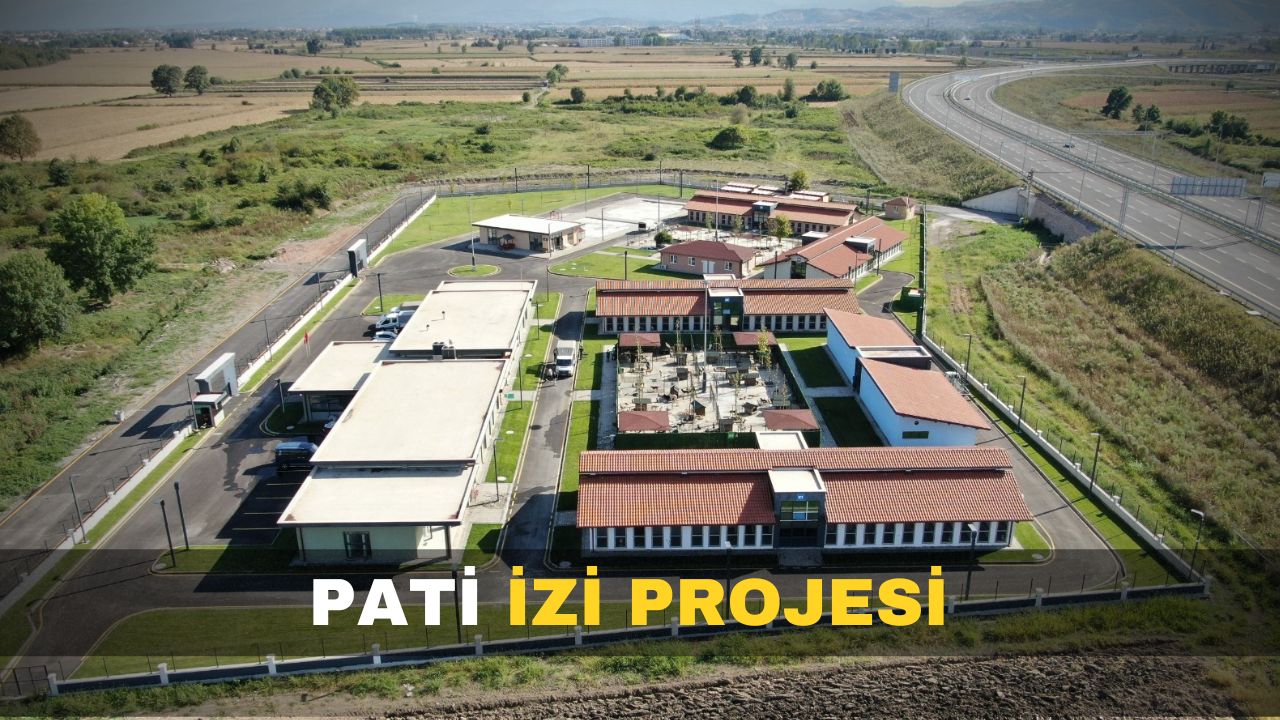 Pati İzi Projesi